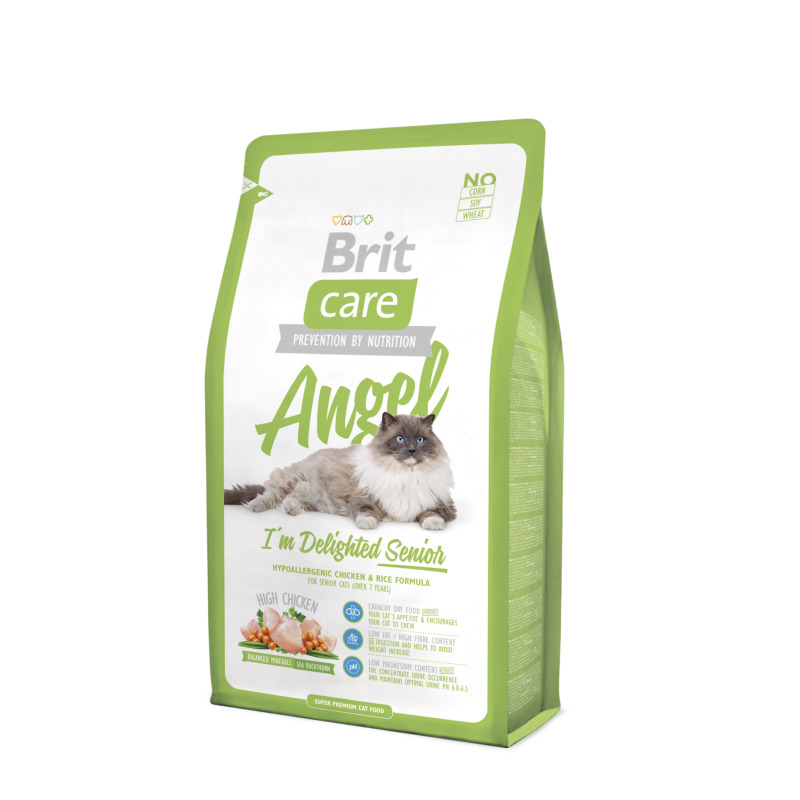 Brit ENG: We at Brit Care Cat know every cat’s story | maXmedia