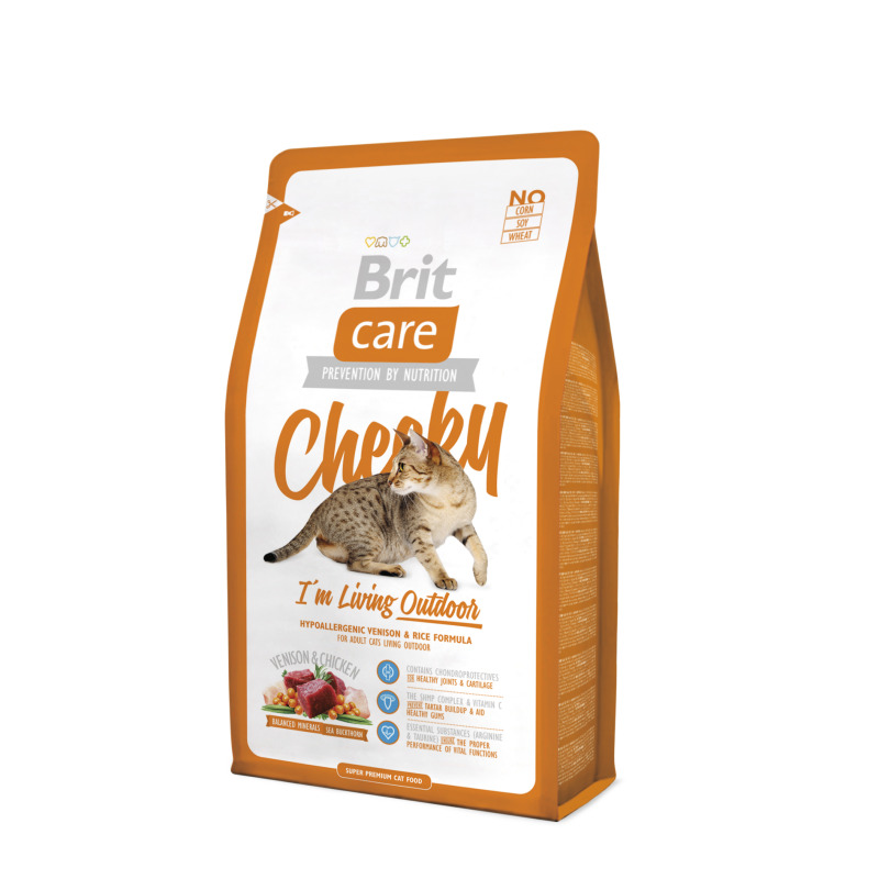 Brit ENG: We at Brit Care Cat know every cat’s story | maXmedia